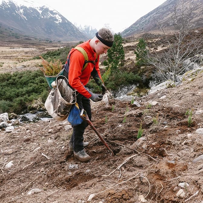 Mossy Earth: Rewilding and Reforestation Membership